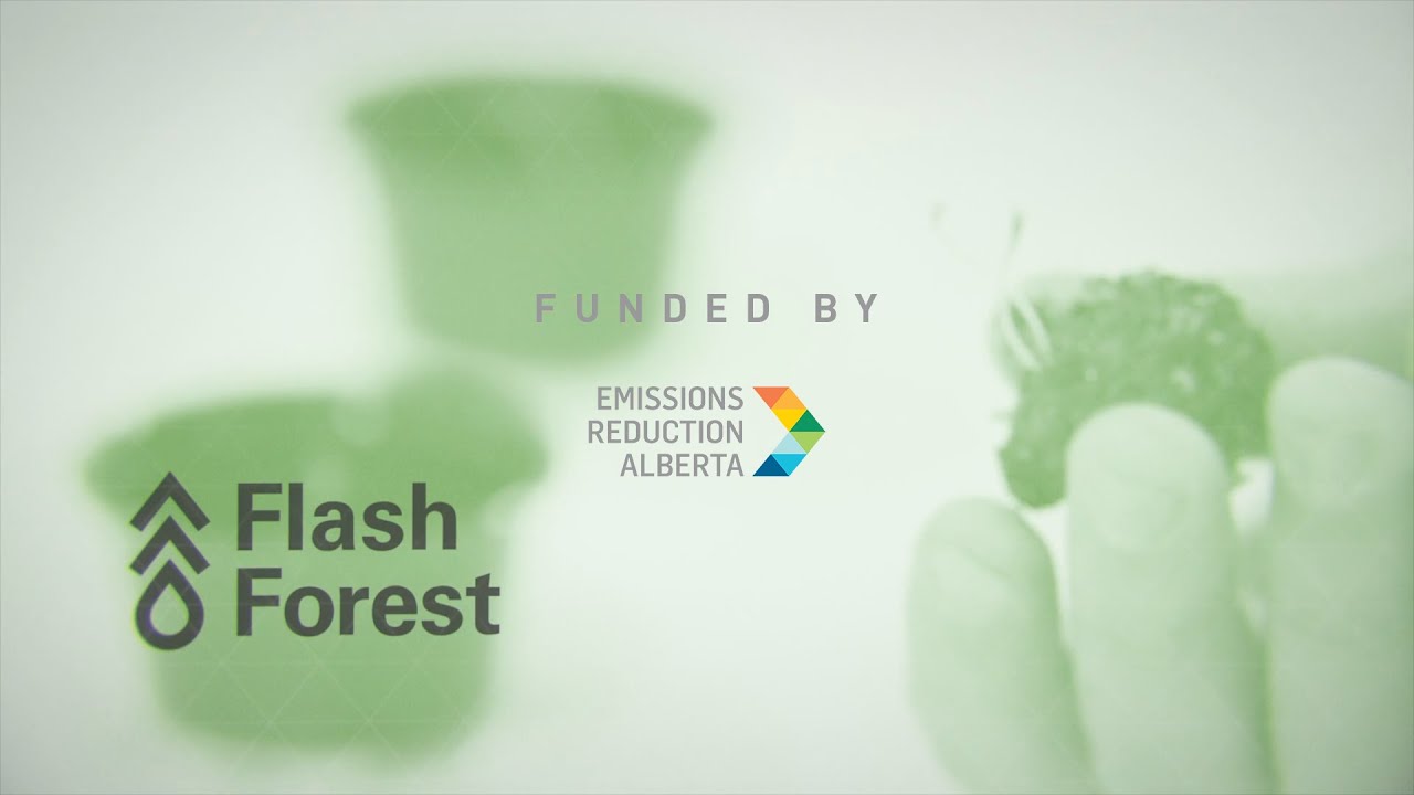 Flash Forest raises $8.5M Series A co-led by OurCrowd | OurCrowd