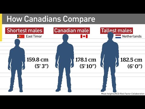 height feet to cm