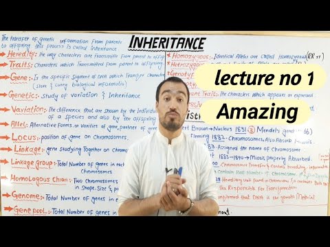 inheritance ,Introduction, very important termologies full detail lecture in hindi and urdu.