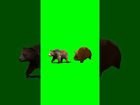 Green Screen Bears Twerking Meme