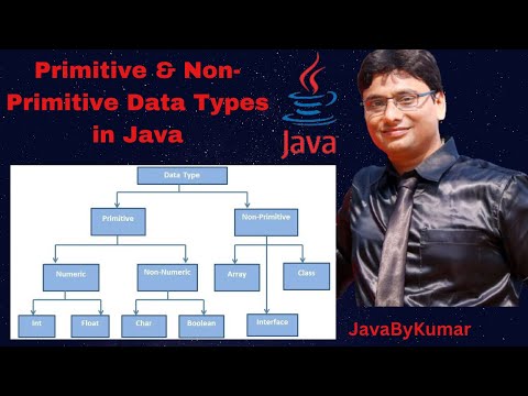 Data Types in Java (Primitive & Non- Primitive)- Hindi
