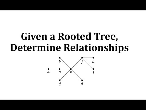 Given a Rooted Tree, Determine Relationships | Math Help from ...