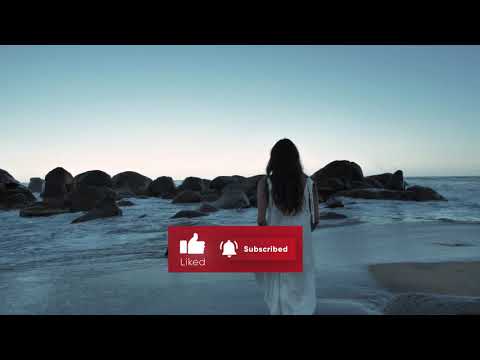 Youtube Animated Green screen Subscribe button with bell icon sound tan tan /click subscribe button