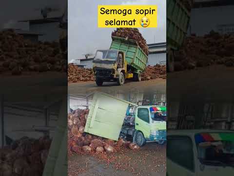 truk oleng saat bongkar sawit #truk #trukoleng #trukmania