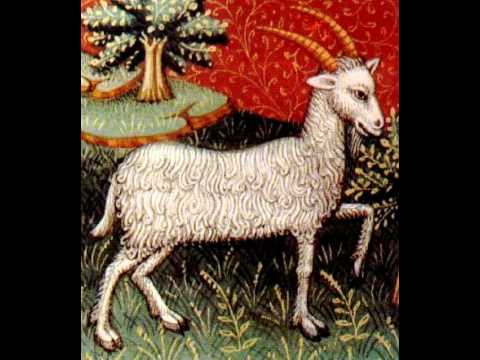 Capricorn and Cancer Compatibility