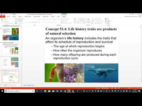 K-selecting & R-selecting Strategies AP Biology 53.4