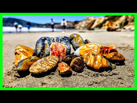 Avila Beach Rock Hunting | Central Coast Rockhounding Dream