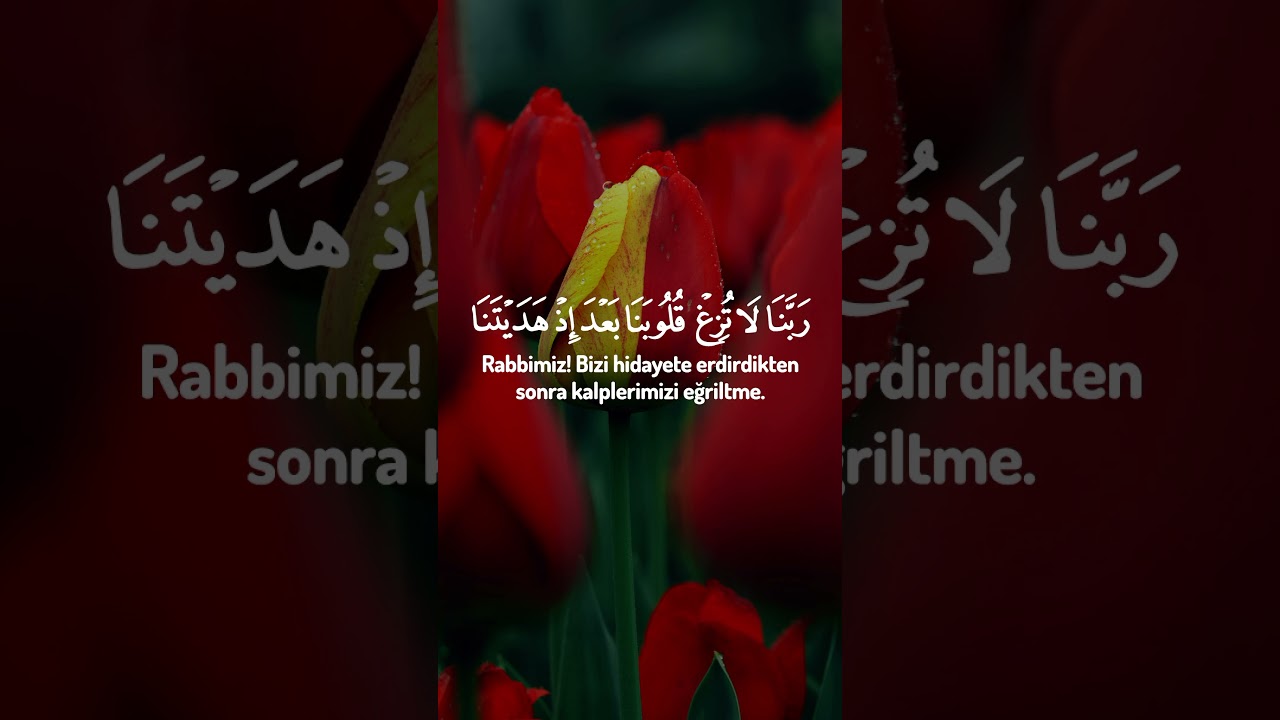 Ali İmran Suresi 8 ayet okuyan