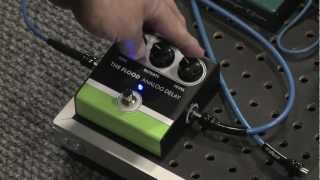 Jet City Amplification The Flood Analog Delay - What To Know & Where To ...