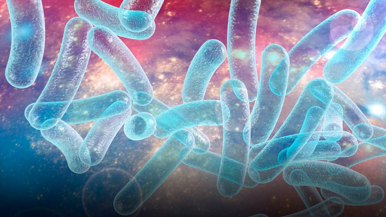 Syndromic Testing for Infectious Diseases: Multiplex Panels for Positive Blood Culture Bottles