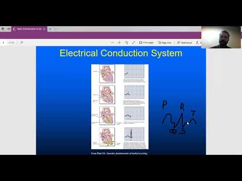 EKG Lecture 1