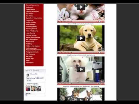 Join Charleston, South Carolina's Premier Pets Websites - CharlestonPetCONNECT.com