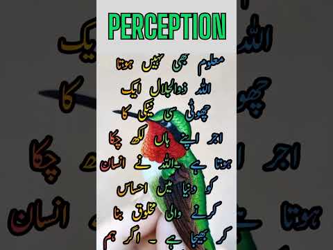 Perception and individual decision making in organizational behavior | sensitivity | By Miss Amazing