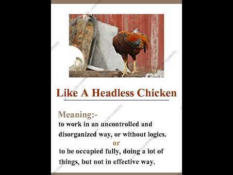 Idioms and Phrases: Like A Headless Chicken