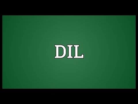 DIL Meaning
