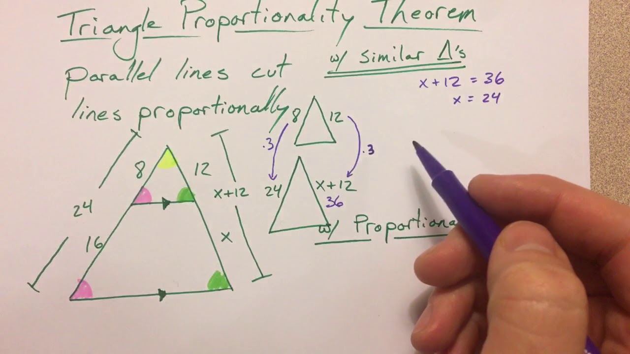 Triangle Proportionality Theorem (Level 1)
