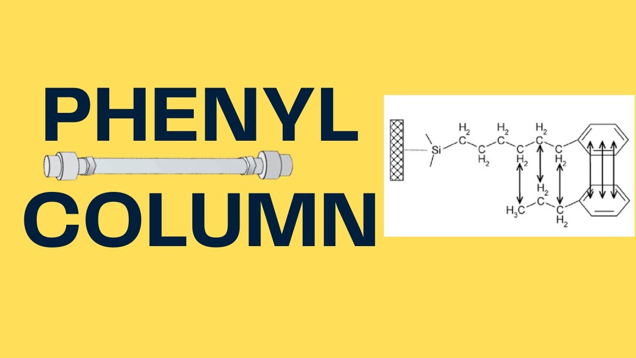Phenyl Columns