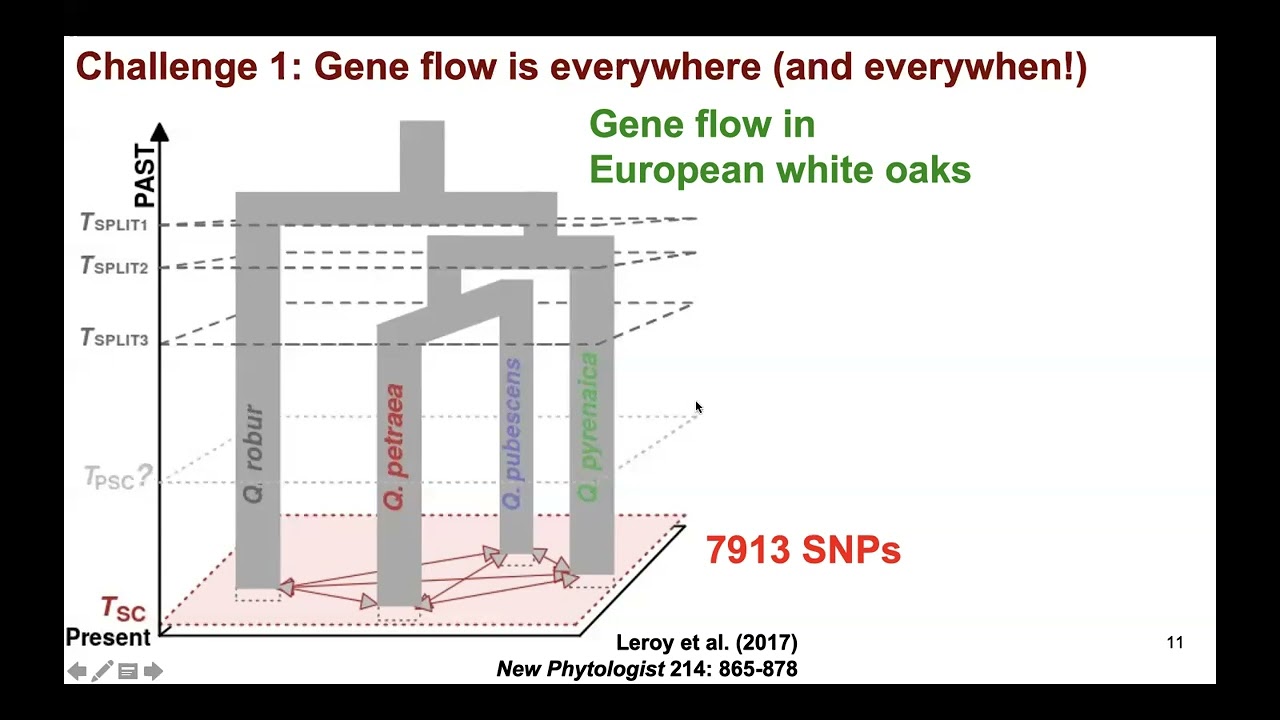 Challenges with species boundaries and relationships in the genomics era