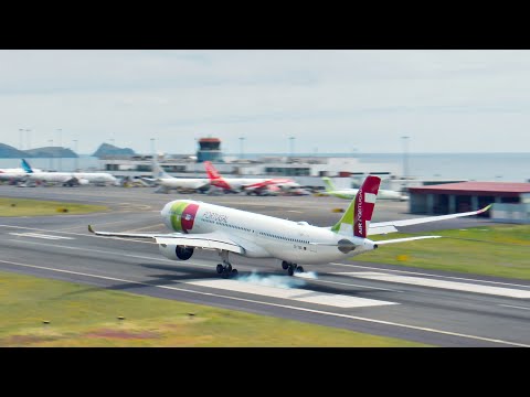 BIG BOY AIRBUS A330-900 Landing at Madeira Airport