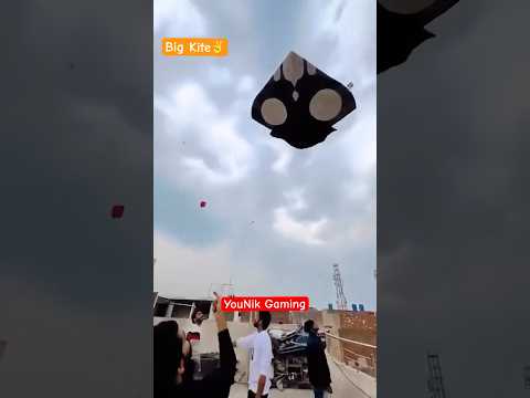 Big Kite Kite Flying Kite Trick⭐️ #kite #kites #kiteflying #patang #youtubeshorts #trending #shorts