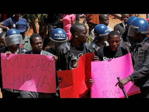 Zimbabwe court rules that police ban on Harare protests is unconstitutional