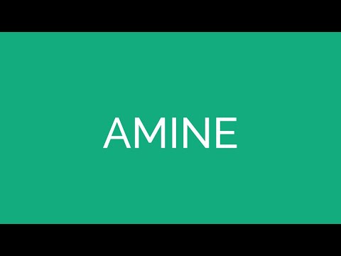 How To Pronounce Amine