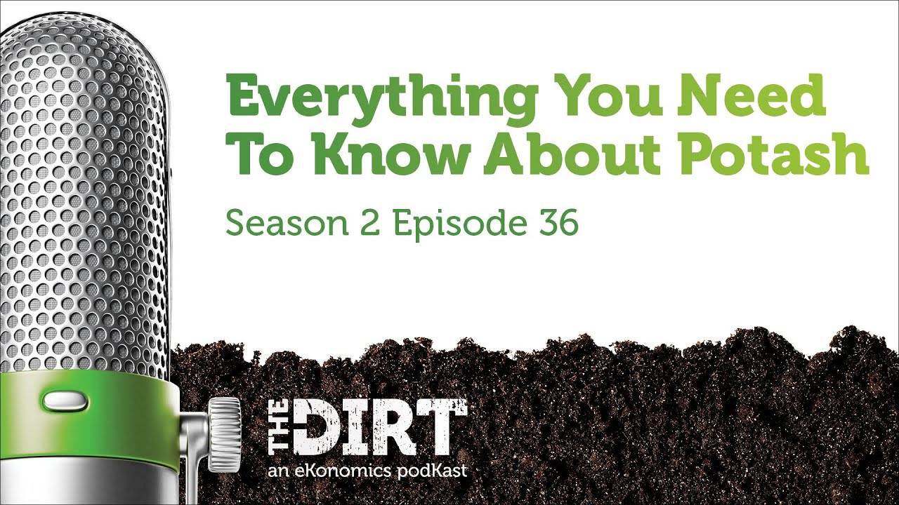 Everything You Need To Know About Potash