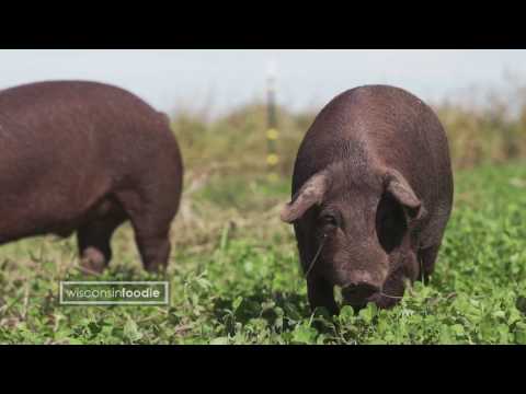 Wisconsin Foodie - Iron Grate BBQ & Twist Sprout Farm - Preview