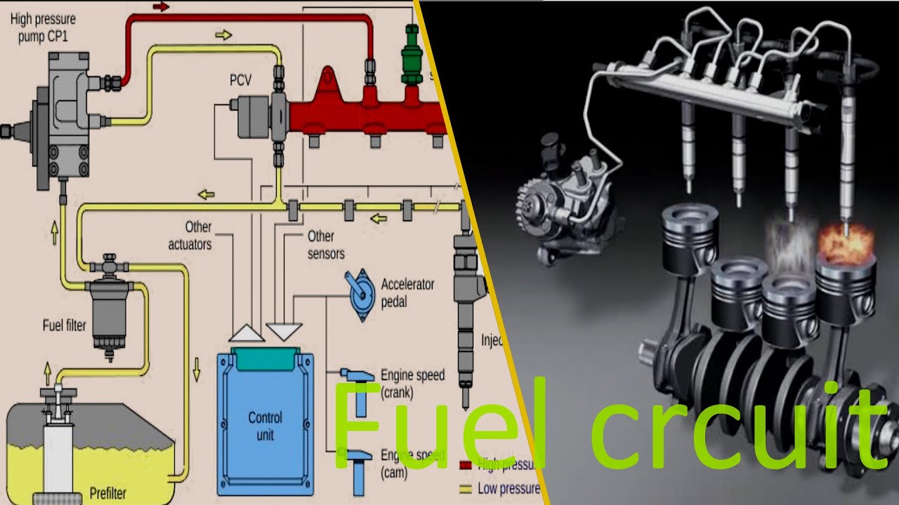 Engine diesel (part2) the fuel circuit