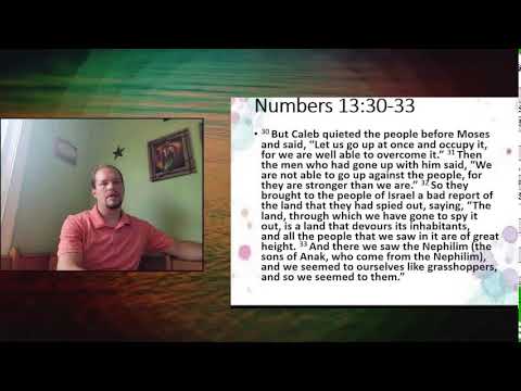 Numbers 13:30-33