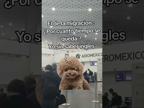 Mi insta ✅️ estefaniazermeño #fy #humor #humorista #humormemes #humormeme #humorviral #humormexicano