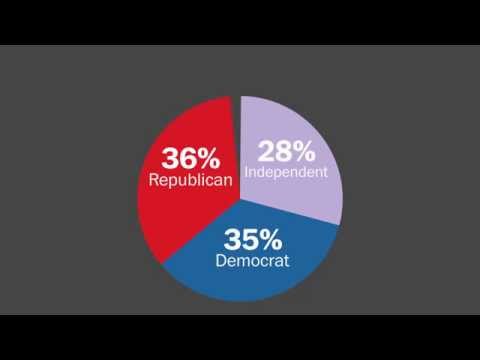 The Demographic Party – The Dish