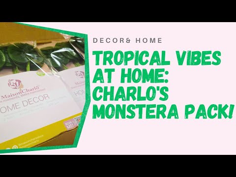 Wholesale & Retail | Decorating Made Easy: Charlo's Monstera Palm Leaves!