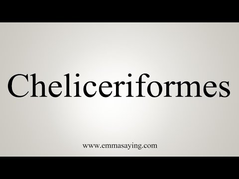 How To Say Cheliceriformes