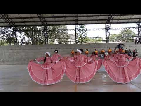 Videos de Padilla | Todo sobre Padilla Cauca