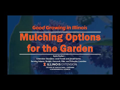 Mulching Options for the Garden