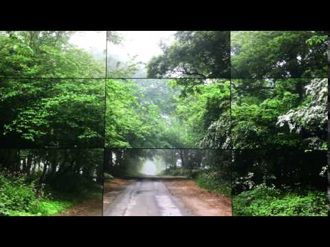 David Hockney Exhibition | Emily Elbourn