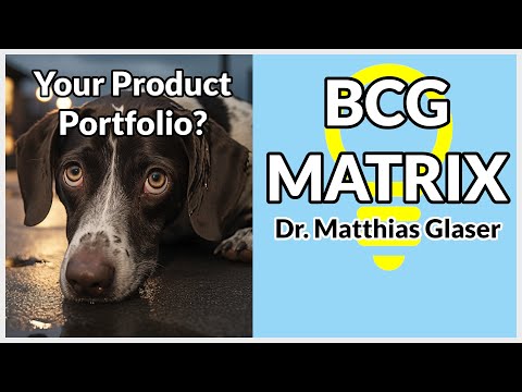 Product Portfolio Management | Growth-Share Matrix/BCG Matrix: Explained & Demonstration (Excel)