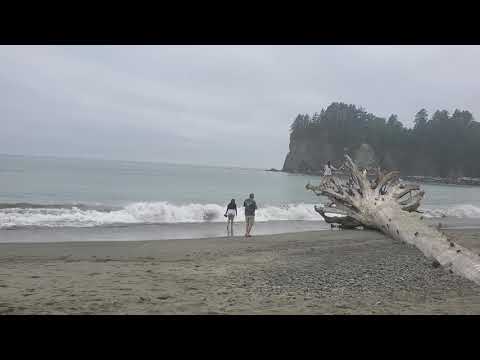 La Push Beach #forks Washington, Pacific Ocean Coastline #washington #pacificnorthwest #onp #ocean
