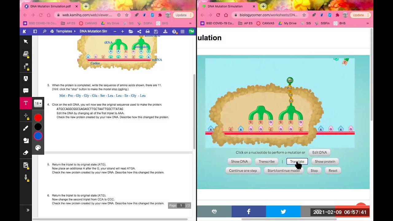 DNA Mutation Simulation