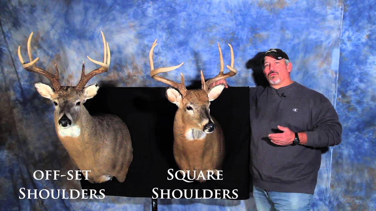 Mount Options