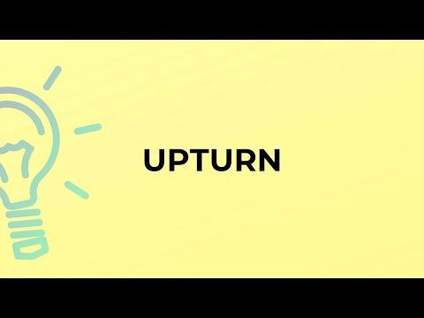 What is the meaning of the word UPTURN?