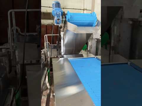 MULTI FRUIT PROCESSING AND CANNING LINE #canningmachines #tomatoketchupplant #bakedbeans