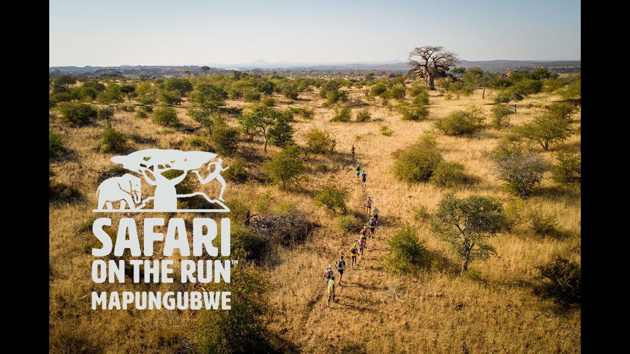 Uniquely Mapungubwe: a day in the life of running wild in Africa