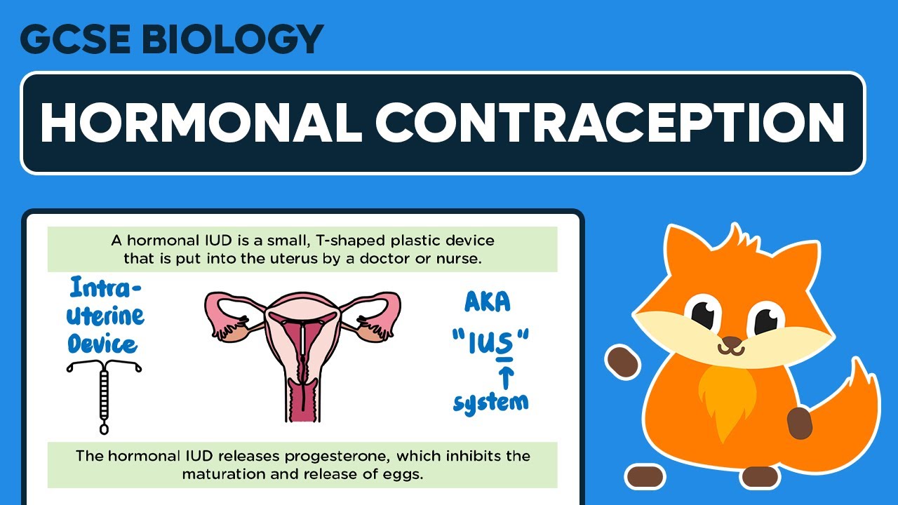 Hormonal Contraception - GCSE Biology