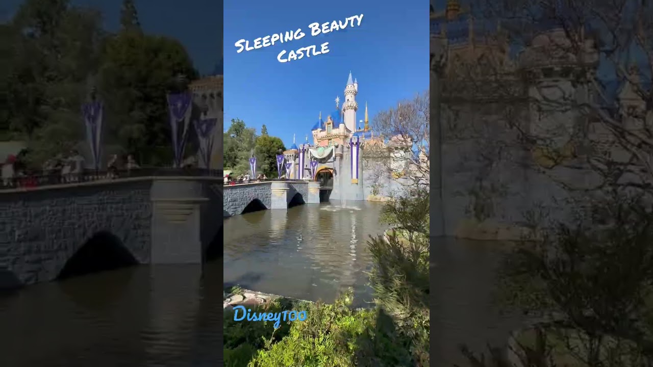 MiceShorts - Disneyland - Sleeping Beauty Castle meets Disney100