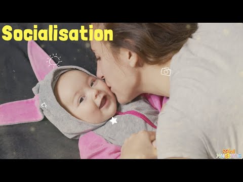 Why is Socialising Important?