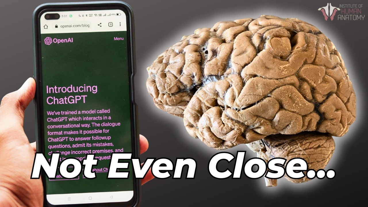 Human Brain vs AI: Who Is Actually Smarter?