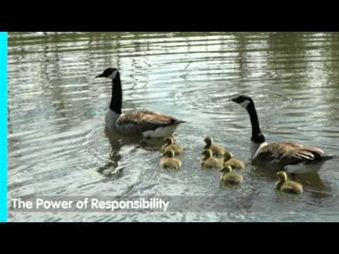 thought leadership definition|leadership definition|definition of leadership|authentic leadership