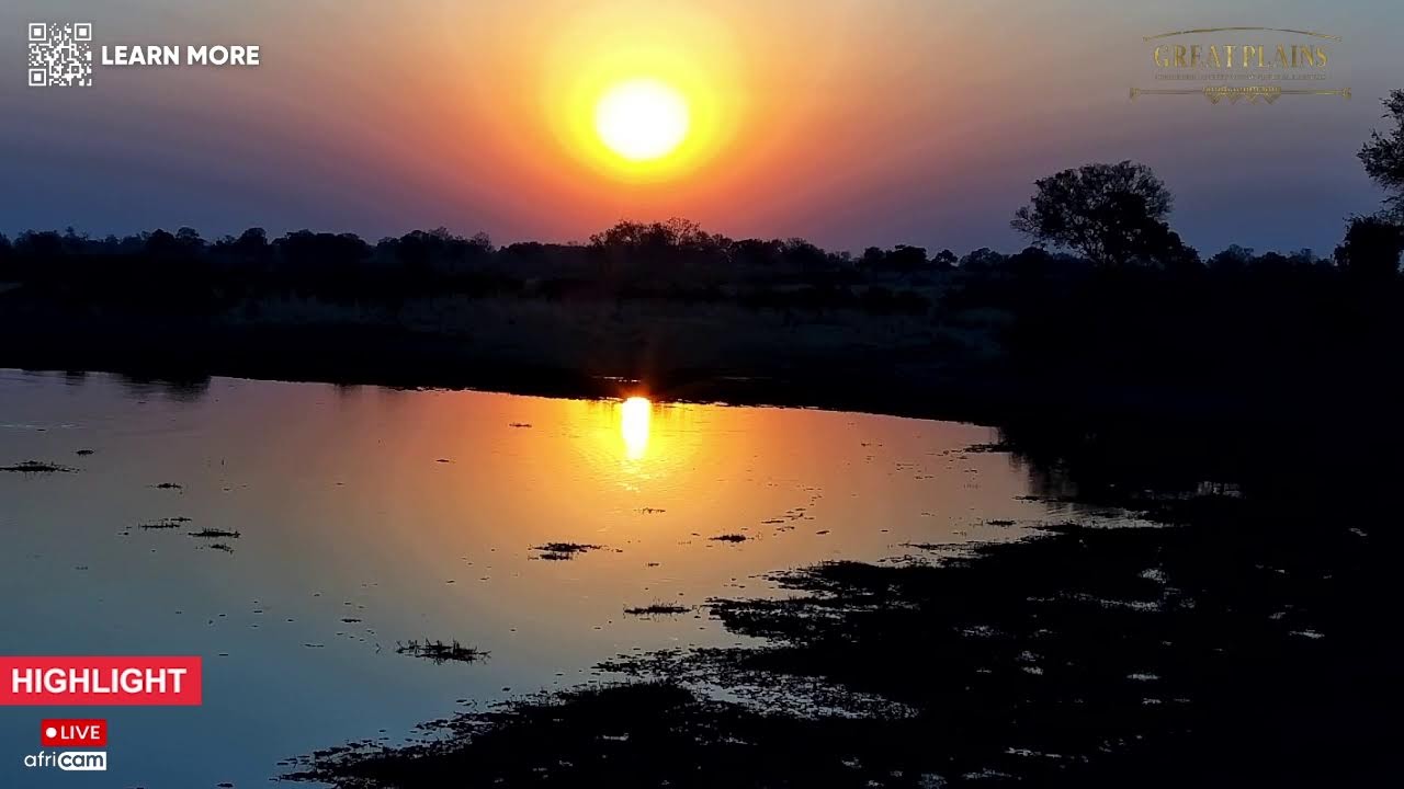 Great Plains TV | Live African Wildlife Stream